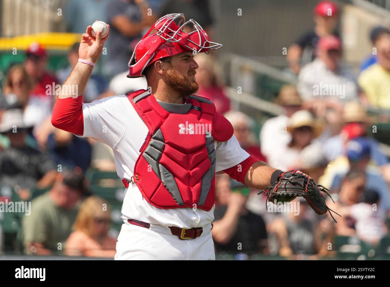 St. Louis Cardinals catcher Pedro Pages throws a ball back to the mound ...