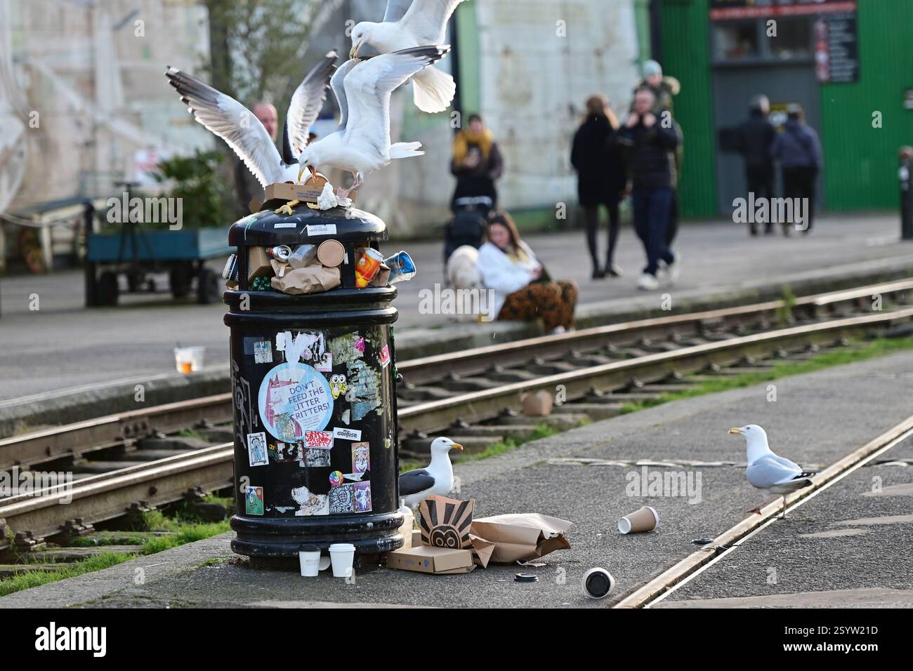 Bristol, UK. 01st Mar, 2025.Stop Littering. UK Rubbish bin over flowing ...