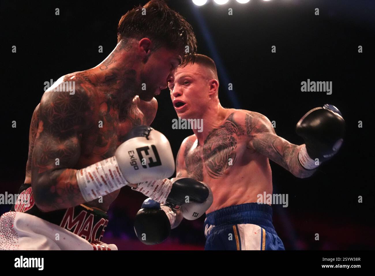 Liam Dillon (right) in action against Mace Ruegg in the lightweight ...