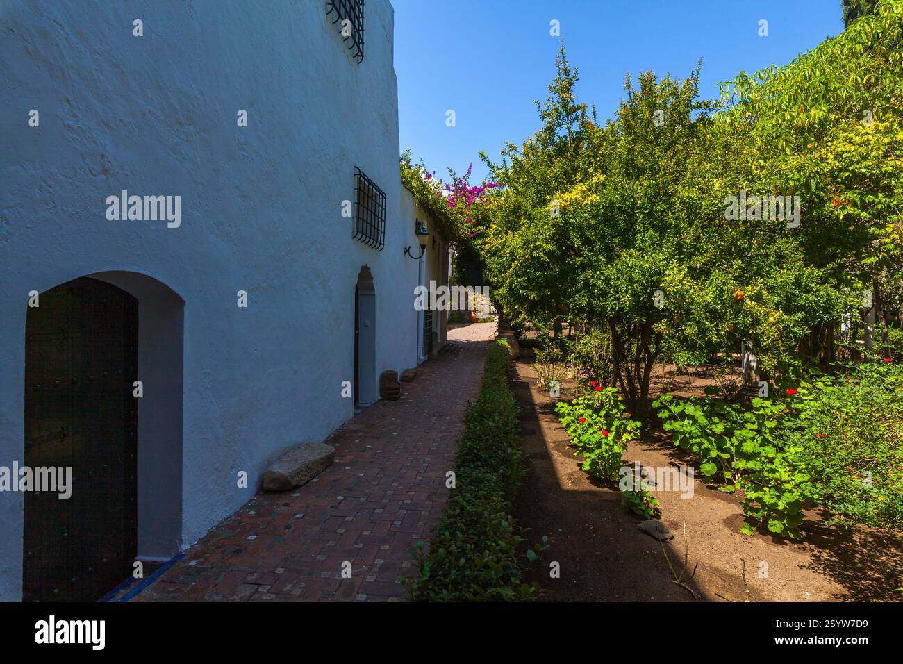 Charming brick walkway lined hi-res stock photography and images - Alamy