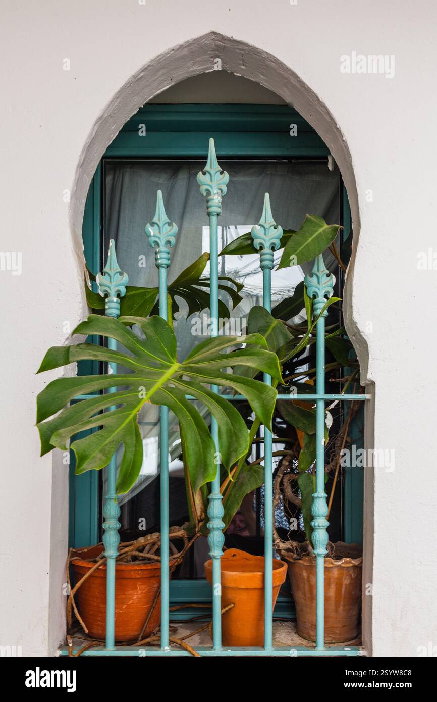 window framed by an arched alcove, adorned with potted plants spilling ...