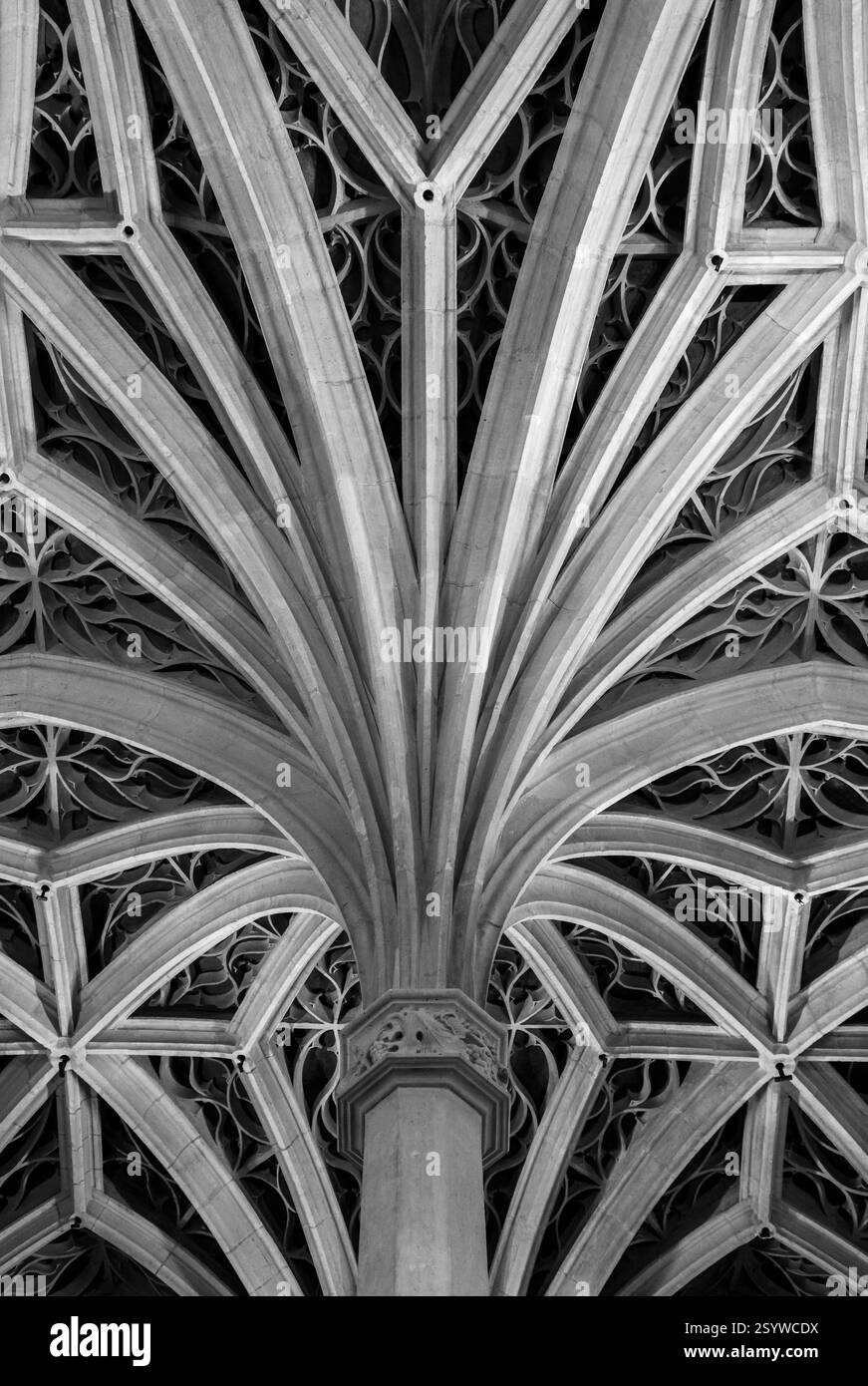 The ornate design of a vaulted ceiling showcases detailed stonework and ...