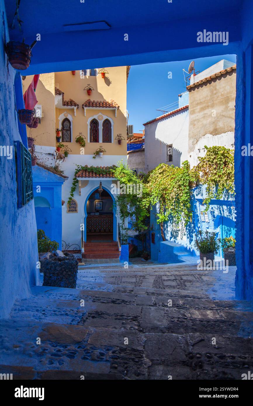 A cobblestone street descends between vibrant blue walls, leading to a ...