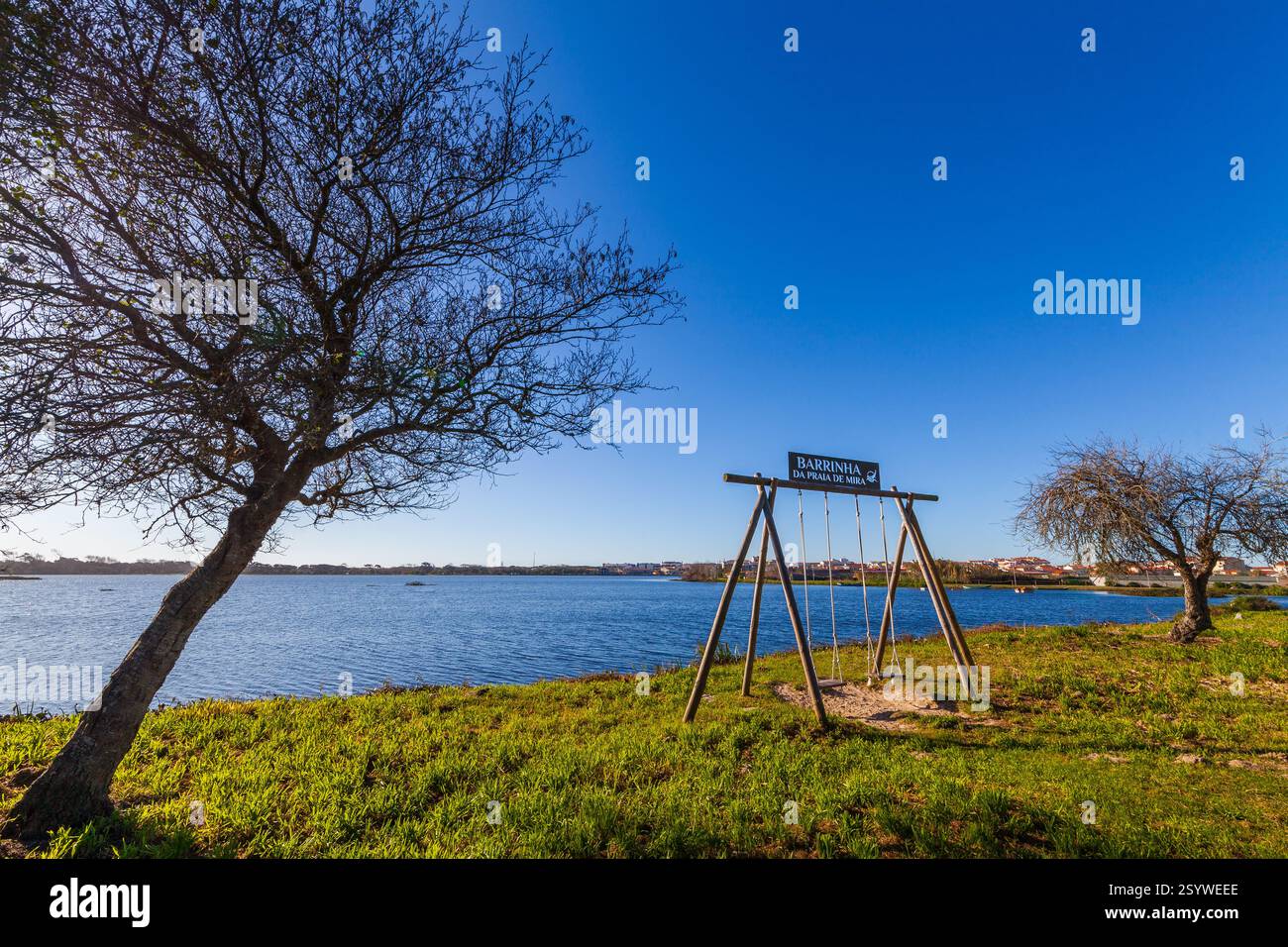 A swing set stands on a grassy bank overlooking a calm lake under a ...
