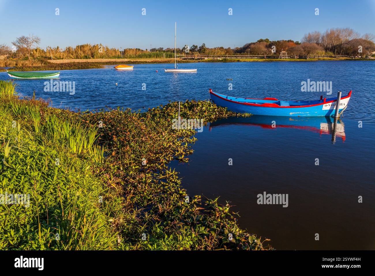 Several small boats rest on a calm lake under a bright blue sky with a ...