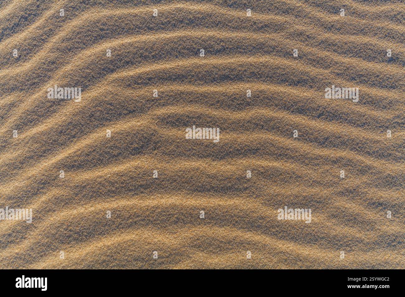 Ripples and ridges create a textured pattern on the surface of a sand ...