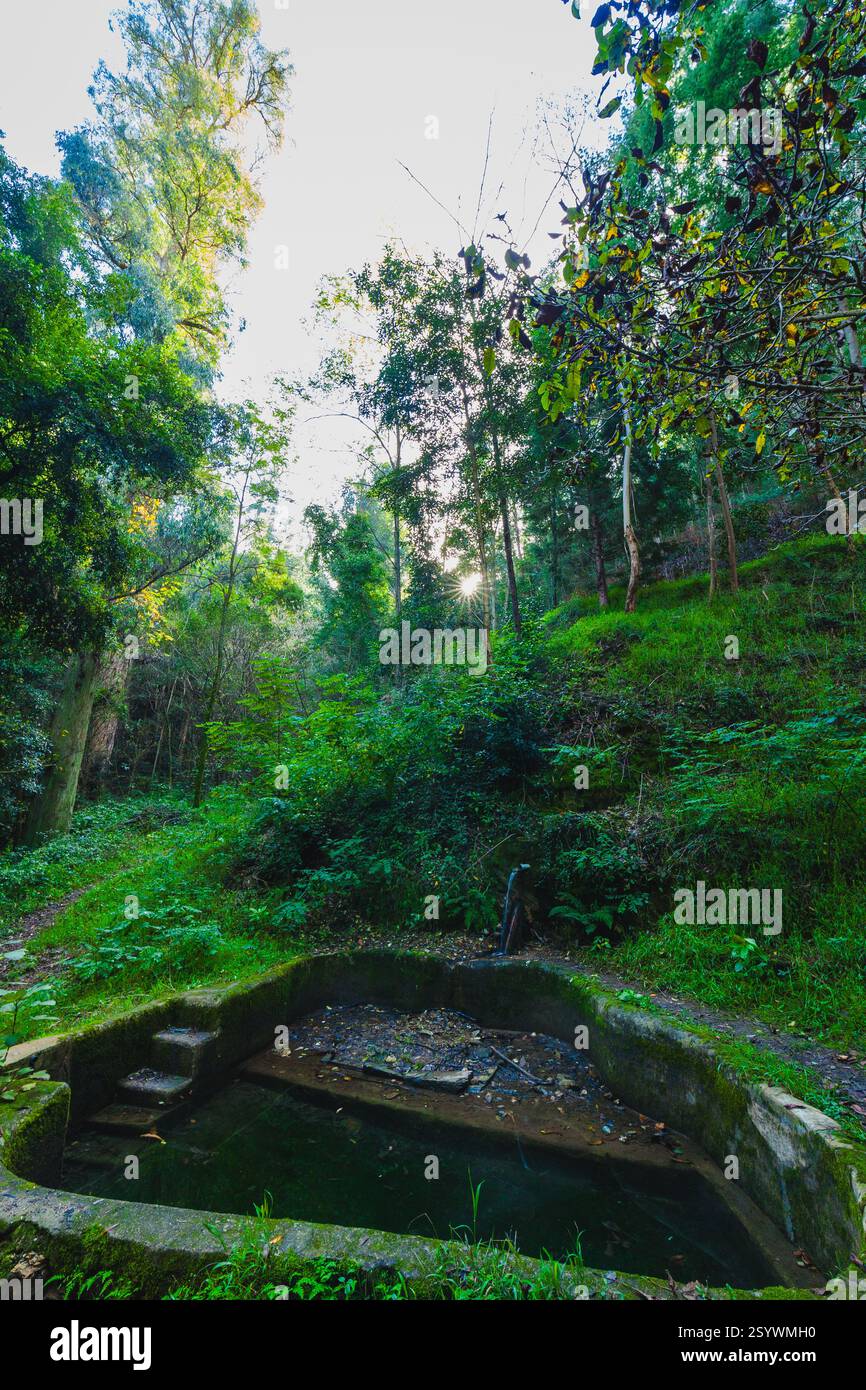 A stagnant pool of water, possibly an old reservoir or cistern, sits ...