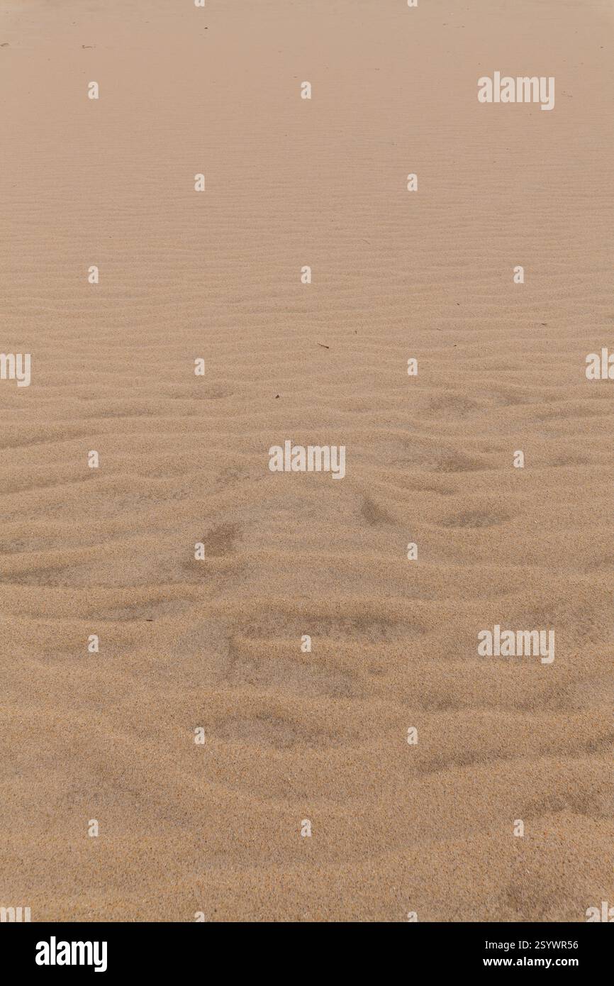 A close-up shot of rippled sand with subtle footprints, showcasing the ...
