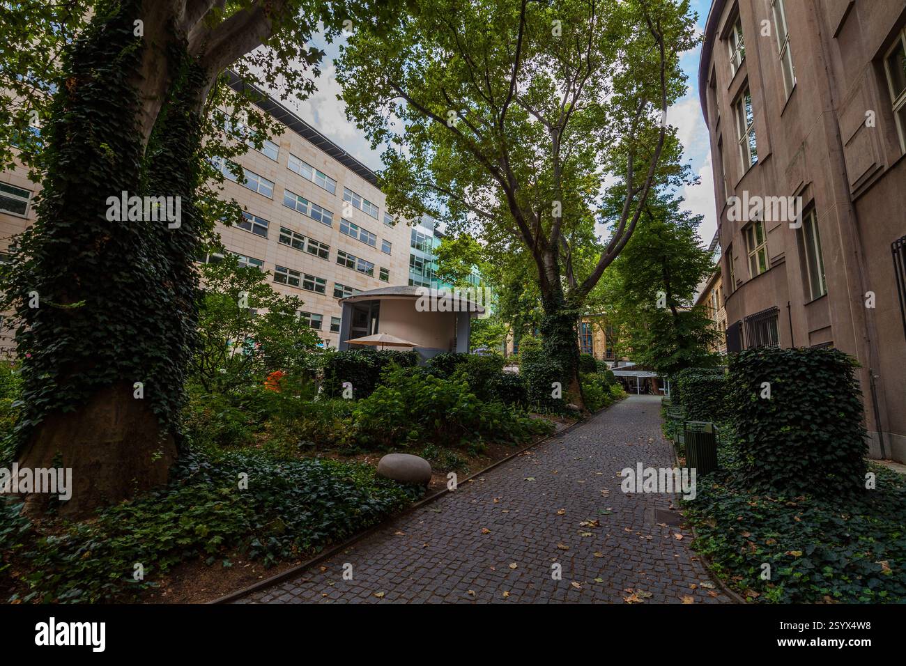 A secluded courtyard garden featuring a stone pathway, lush greenery ...