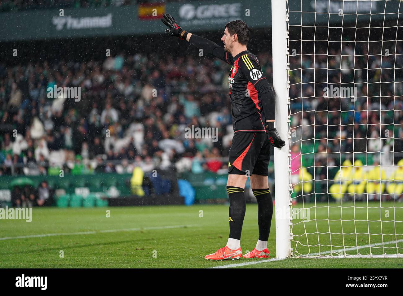 Thibaut Courtois (Real Madrid goalkeeper) during LaLiga match between ...