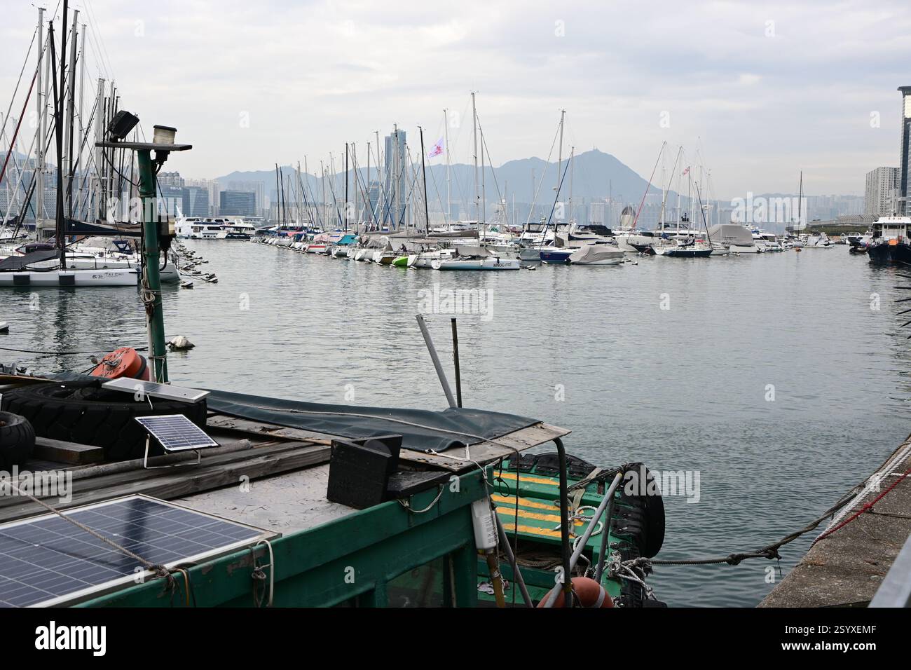 HongKong Causeway Bay Typhoon Shelter Stock Photo - Alamy