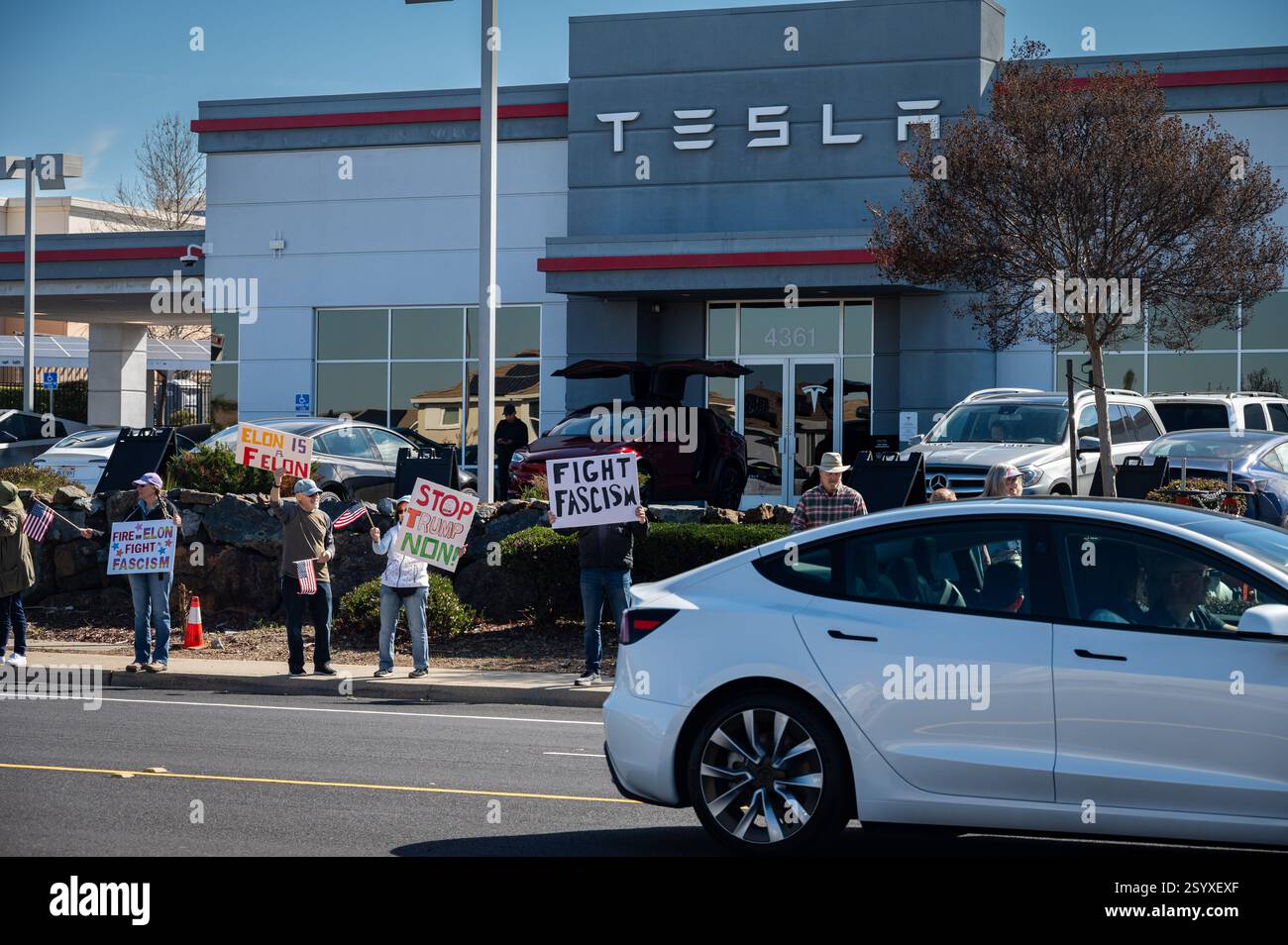 Protesters wave signs like Fight Fascism, Elon is a Felon, Stop Trump ...