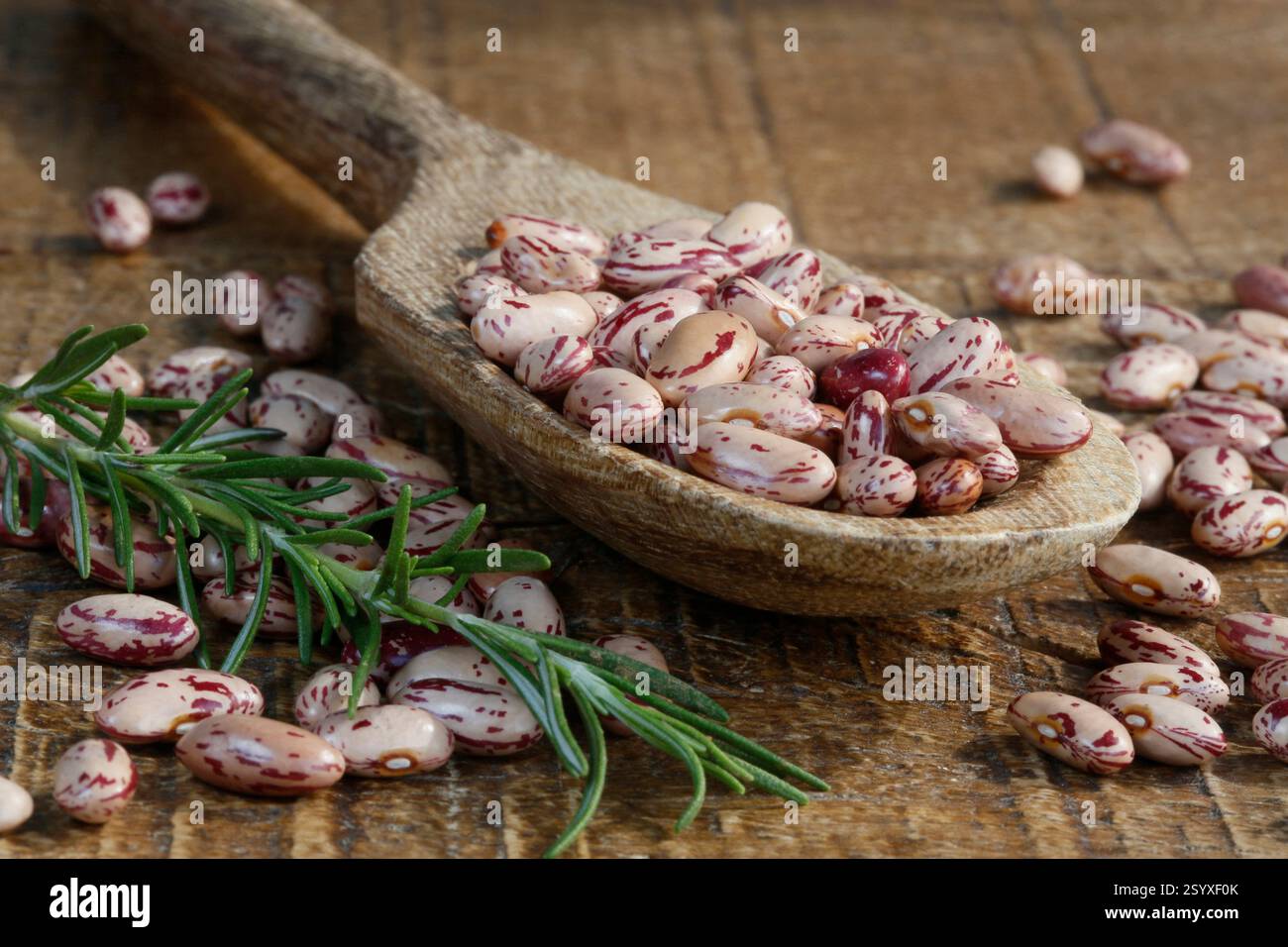 roman bean in wood spoon with rosemary Stock Photo - Alamy