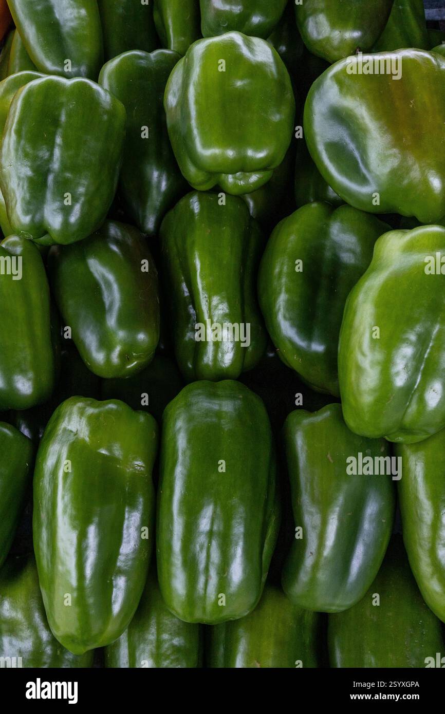 Stack of green bell peppers in Brazilian market stall. Sao Paulo city ...