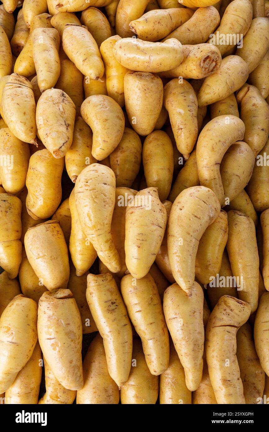 Pile of yam or sweet cassava, mandioquinha in portuguese, to sale on ...