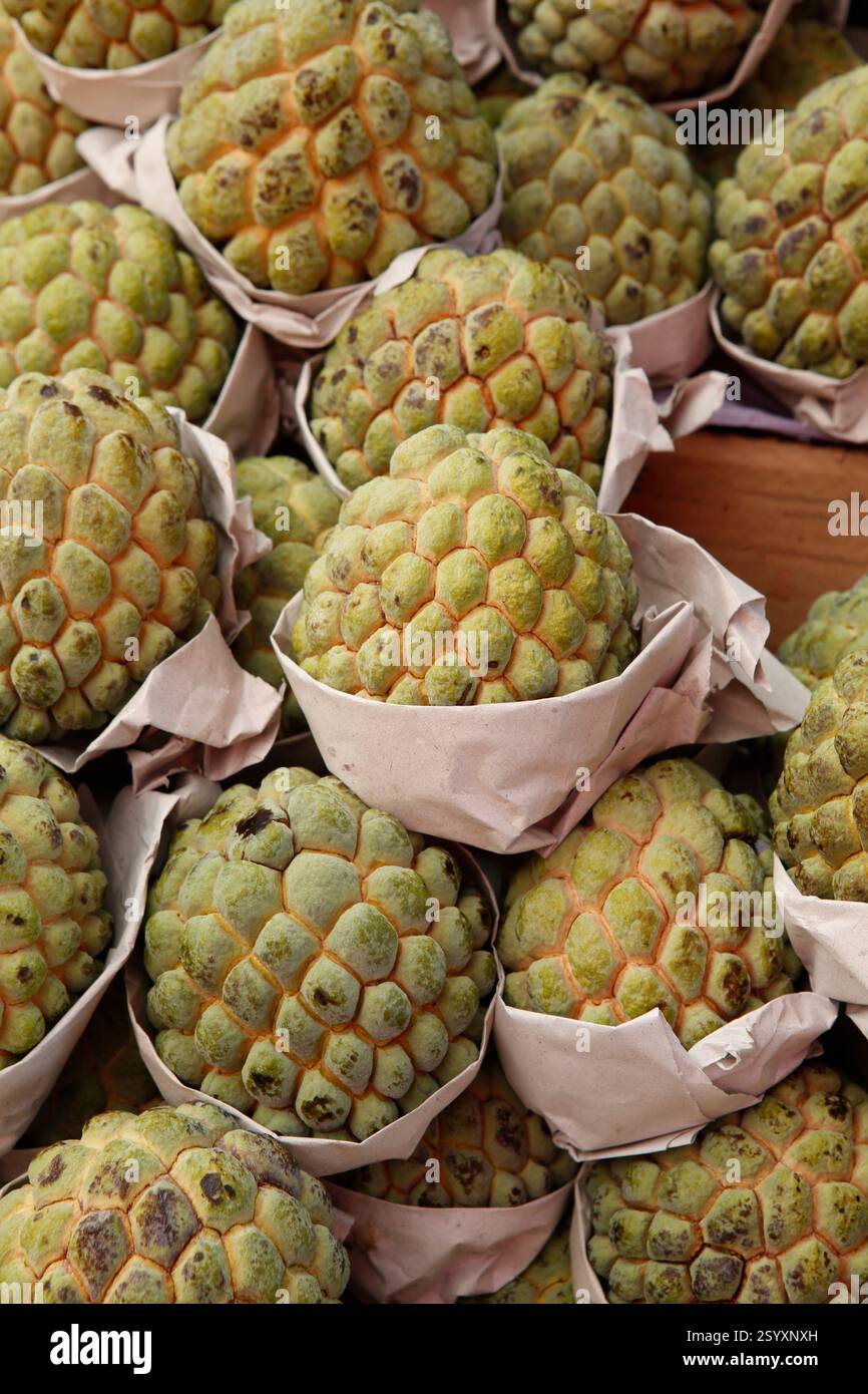Custard apple also known as Fruta do conde, Cherimoya fruit . Brazil ...
