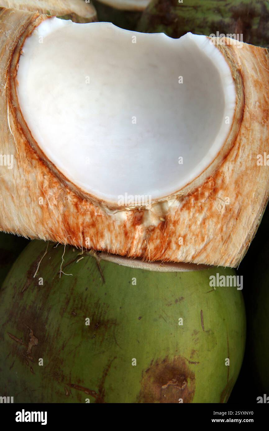 White pulp hi-res stock photography and images - Alamy