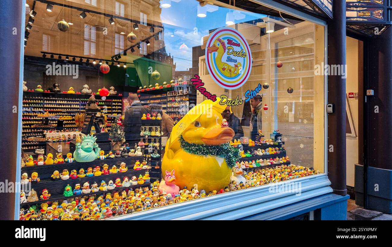 Amsterdam, Netherlands - December 3, 2024: Mama Ducks store window. Rubber duck souvenir store ...
