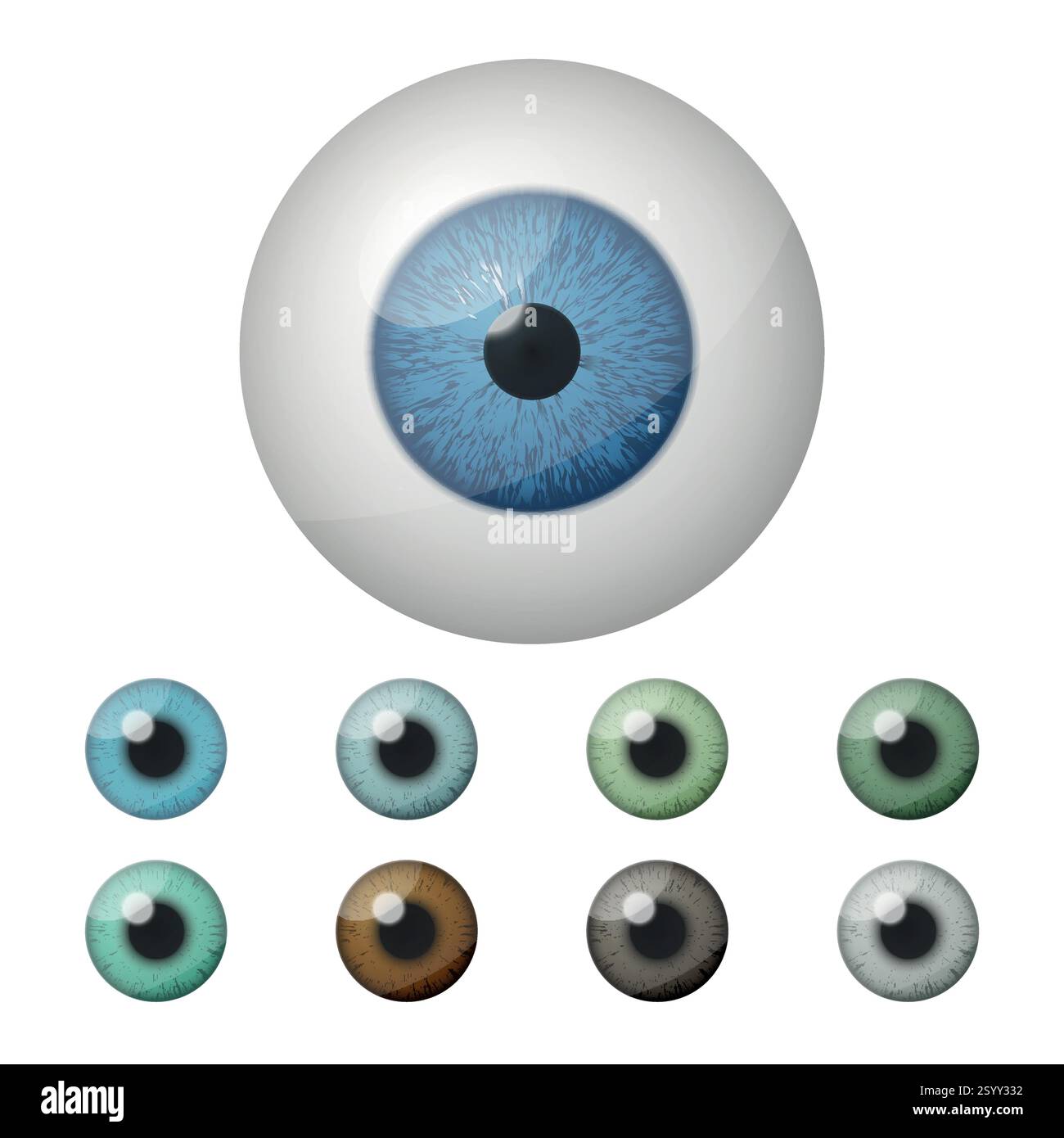 Realistic Vector Isolated Round Eyeballs Set With Various Pupil Colors ...
