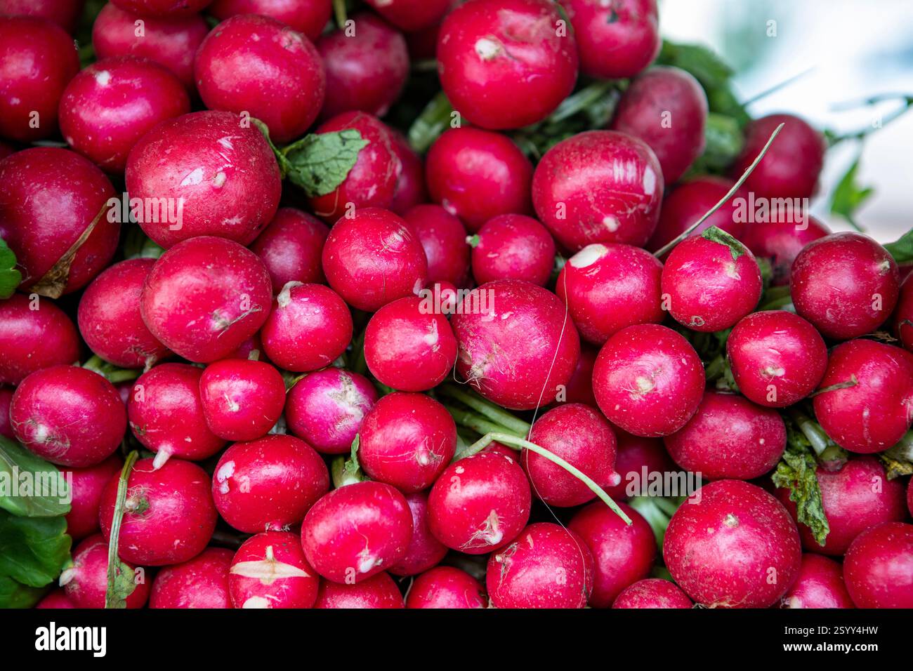 Stack of radish at the brazilian market stall. Sao Paulo city, Brazil ...