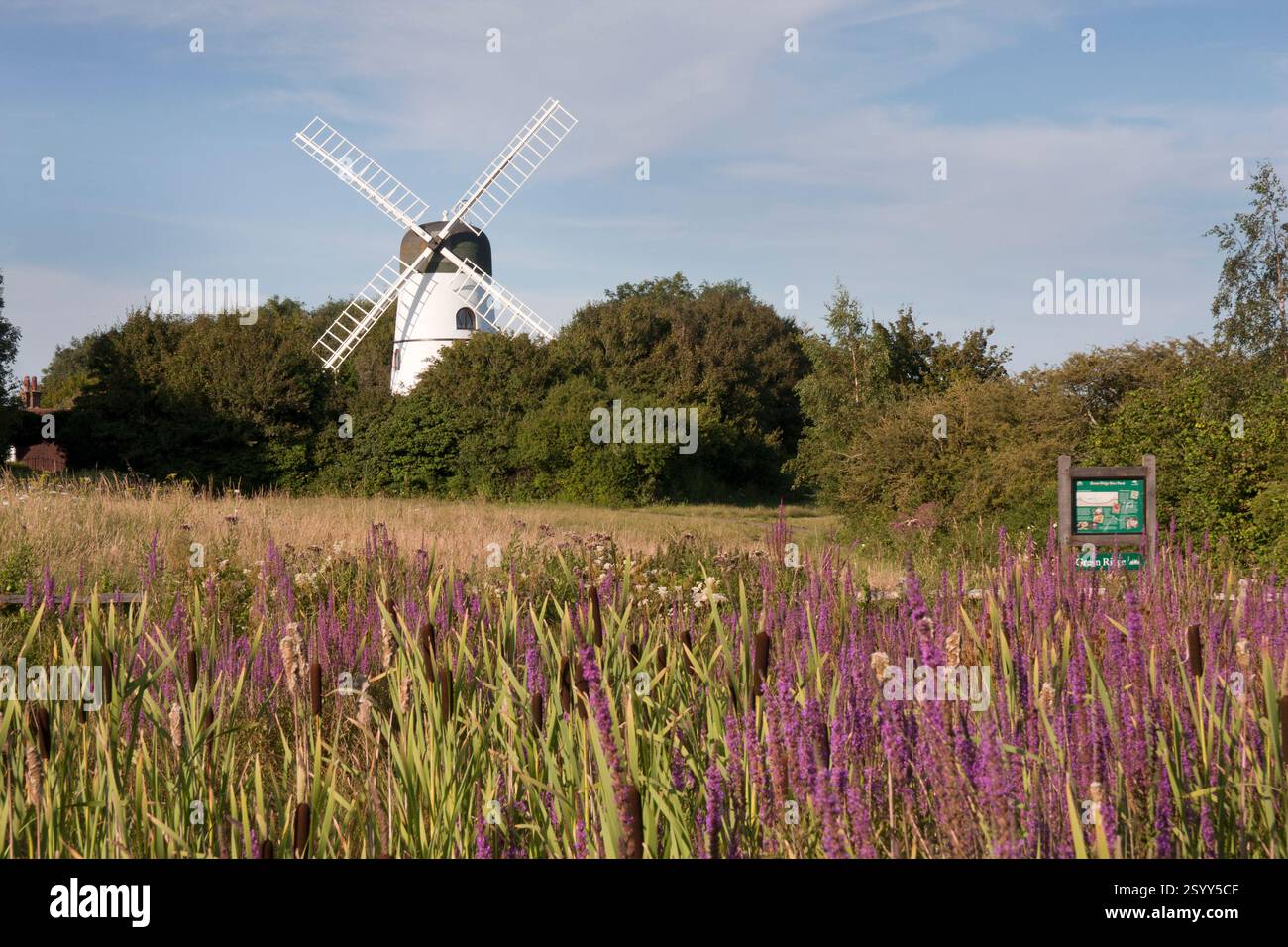 Waterhall Milll & Green Ridge dew pond, Patcham, Hove, Brighton, East ...