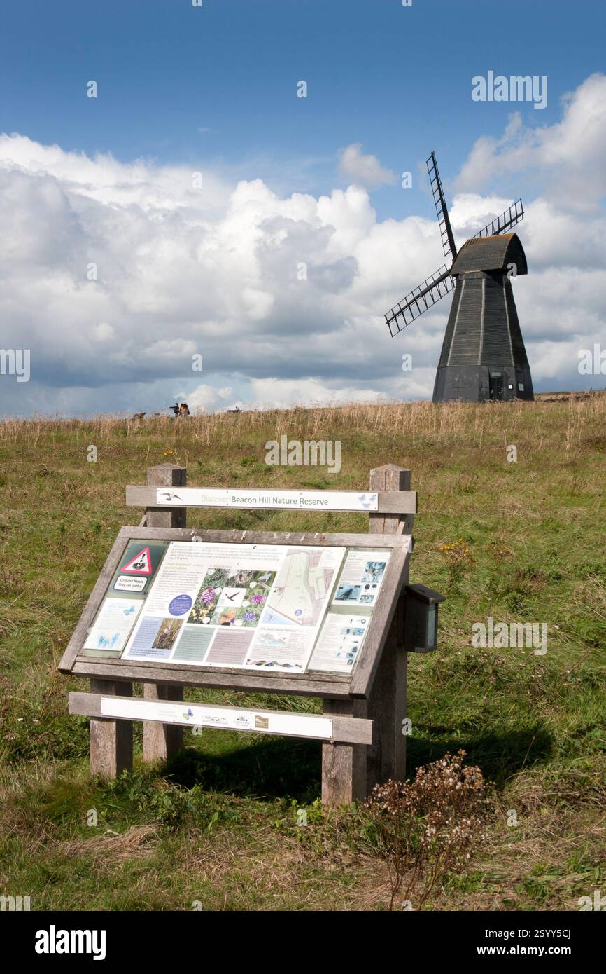 Beacon Mill, Beacon Hill nature reserve, Brighton, East Sussex (2024 ...