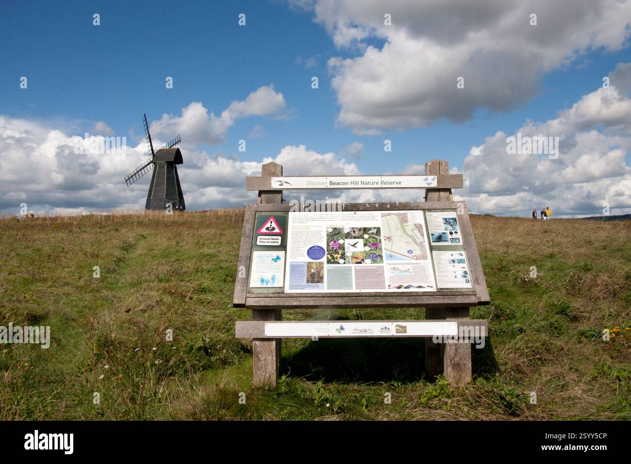 Beacon Mill, Beacon Hill, Brighton, East Sussex (2024 Stock Photo - Alamy