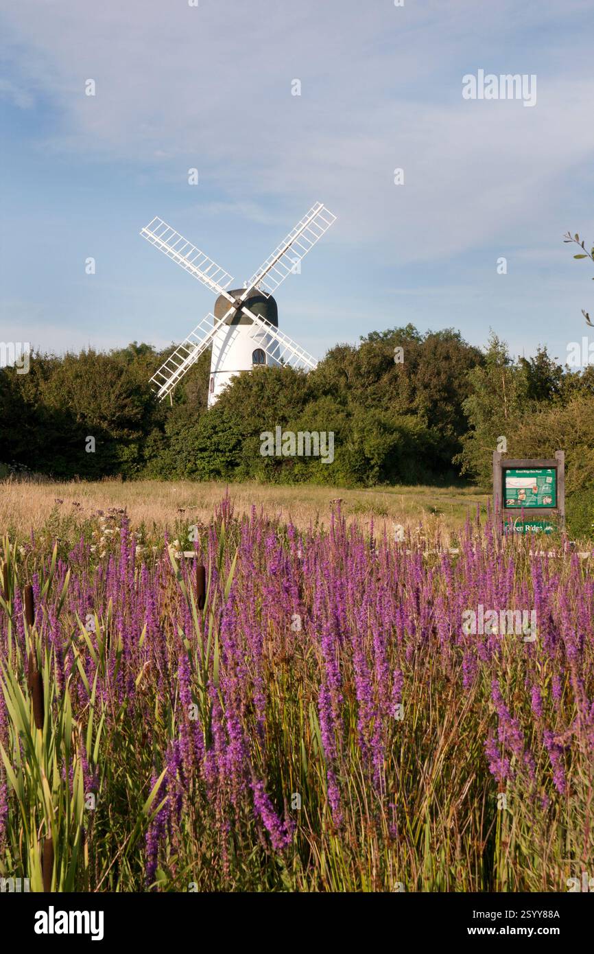 Waterhall Milll & Green Ridge dew pond, Patcham, Hove, Brighton, East ...