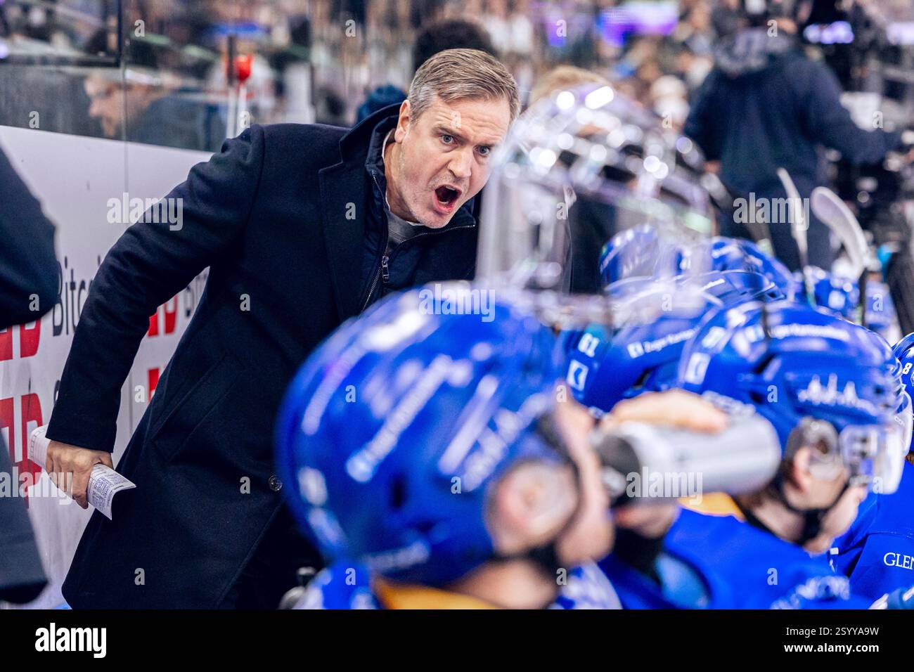 Head Coach Dan Tangnes (EV Zug) screams - 01.03.2025 - National League ...