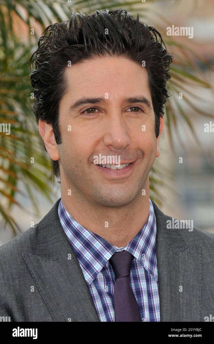 David Schwimmer.'Madagascar 3: Europe's Most Wanted' photocall at the ...