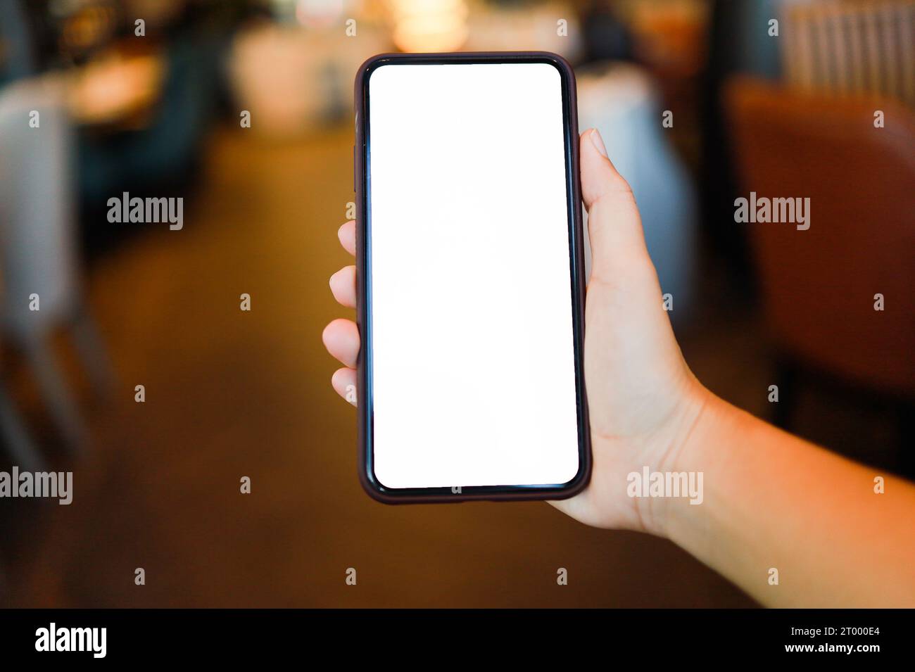 Women's hands holding cell telephone blank copy space screen. smart ...