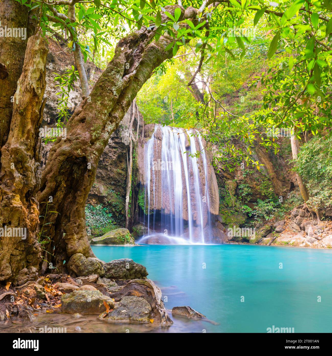 With Waterfall And Rainforest Vegetation Hiking Manoa Falls Trail In