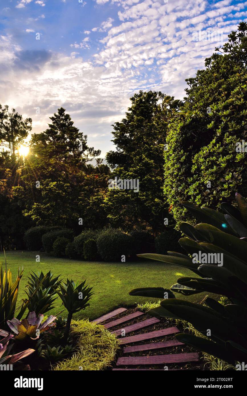 Sunlit Path in a Beautiful Garden - Itaipava, Rio de Janeiro, Brazil ...