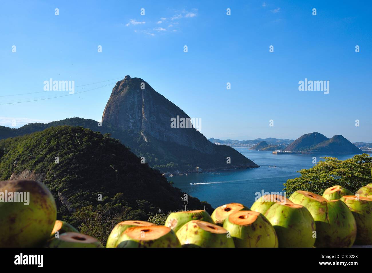 A Coconut Frame of the Sugarloaf - Rio de Janeiro, Brazil Stock Photo ...