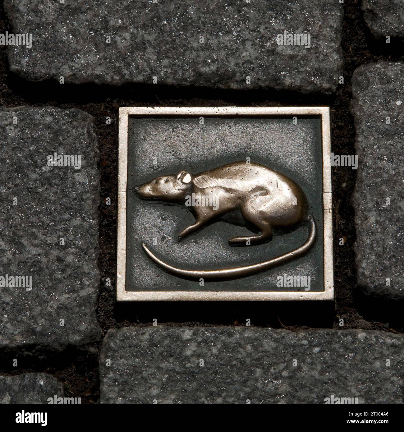 Rat stone, trail through the old town based on the legend of the ...