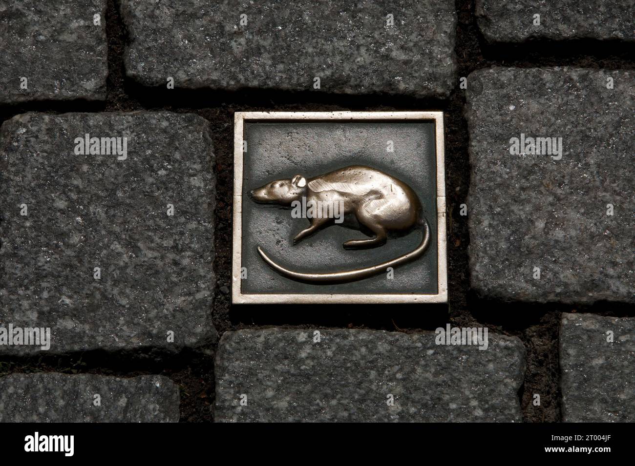 Rat stone, trail through the old town based on the legend of the ...