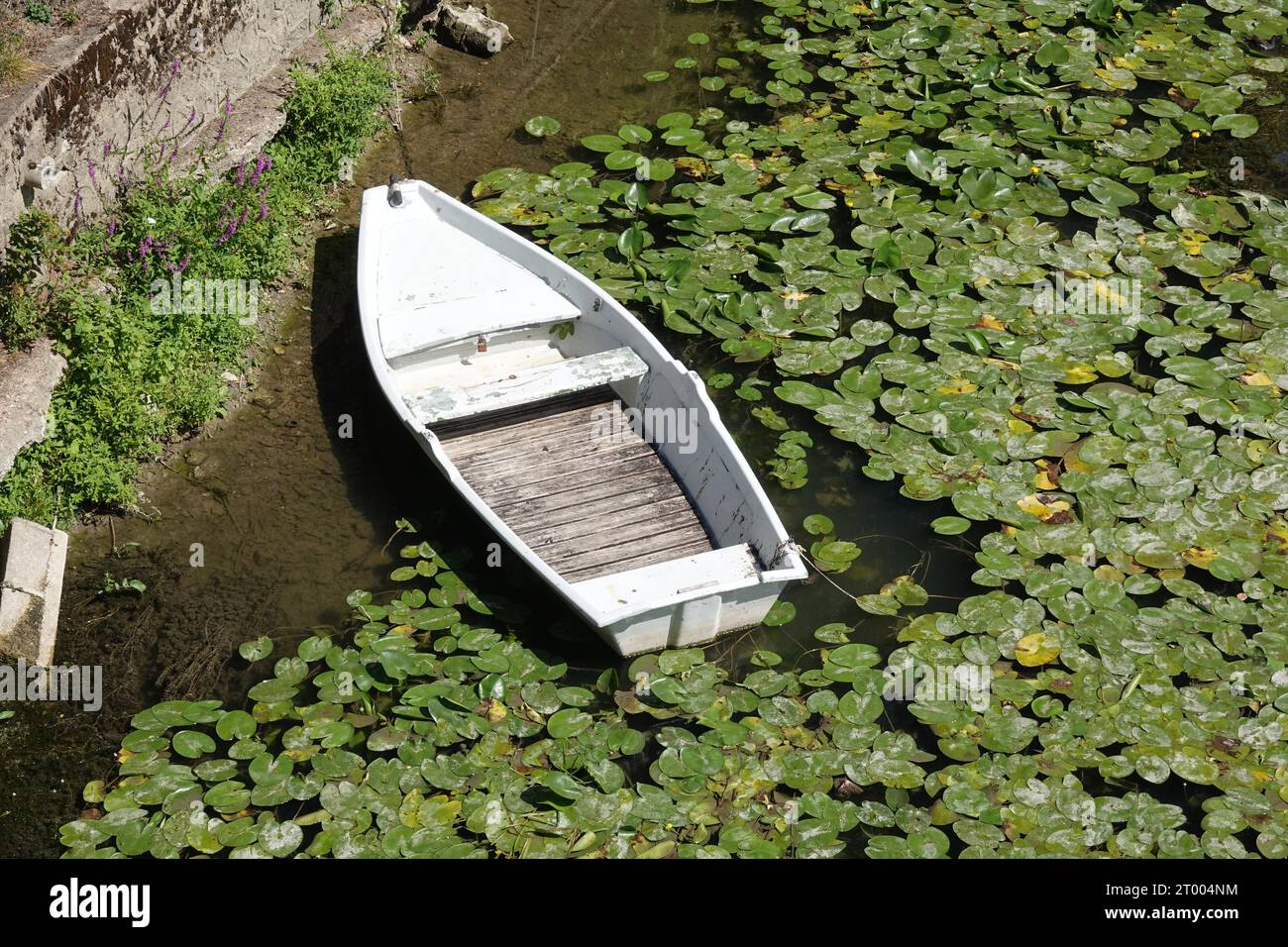 Boat in a river Stock Photo - Alamy