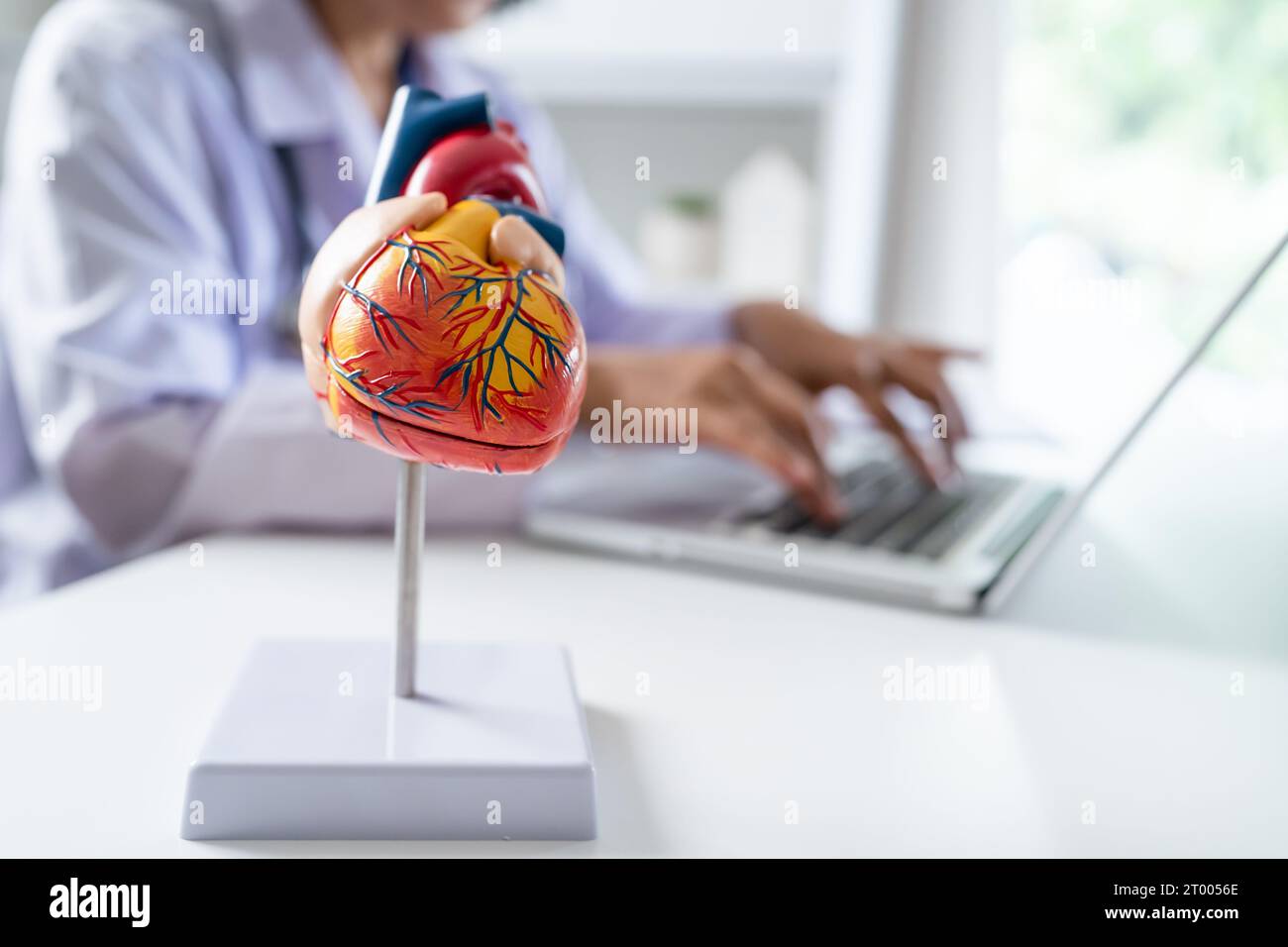 Doctor Consult Patient On Laptop With Anatomical Model Of Human Heart