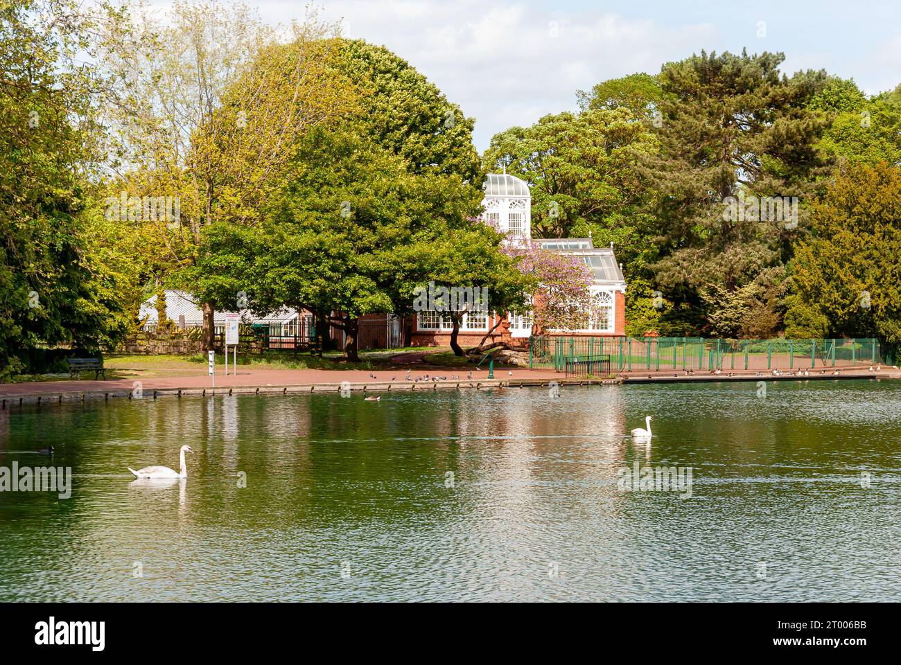Spring in England. View of the English Park in Wolverhampton Stock ...