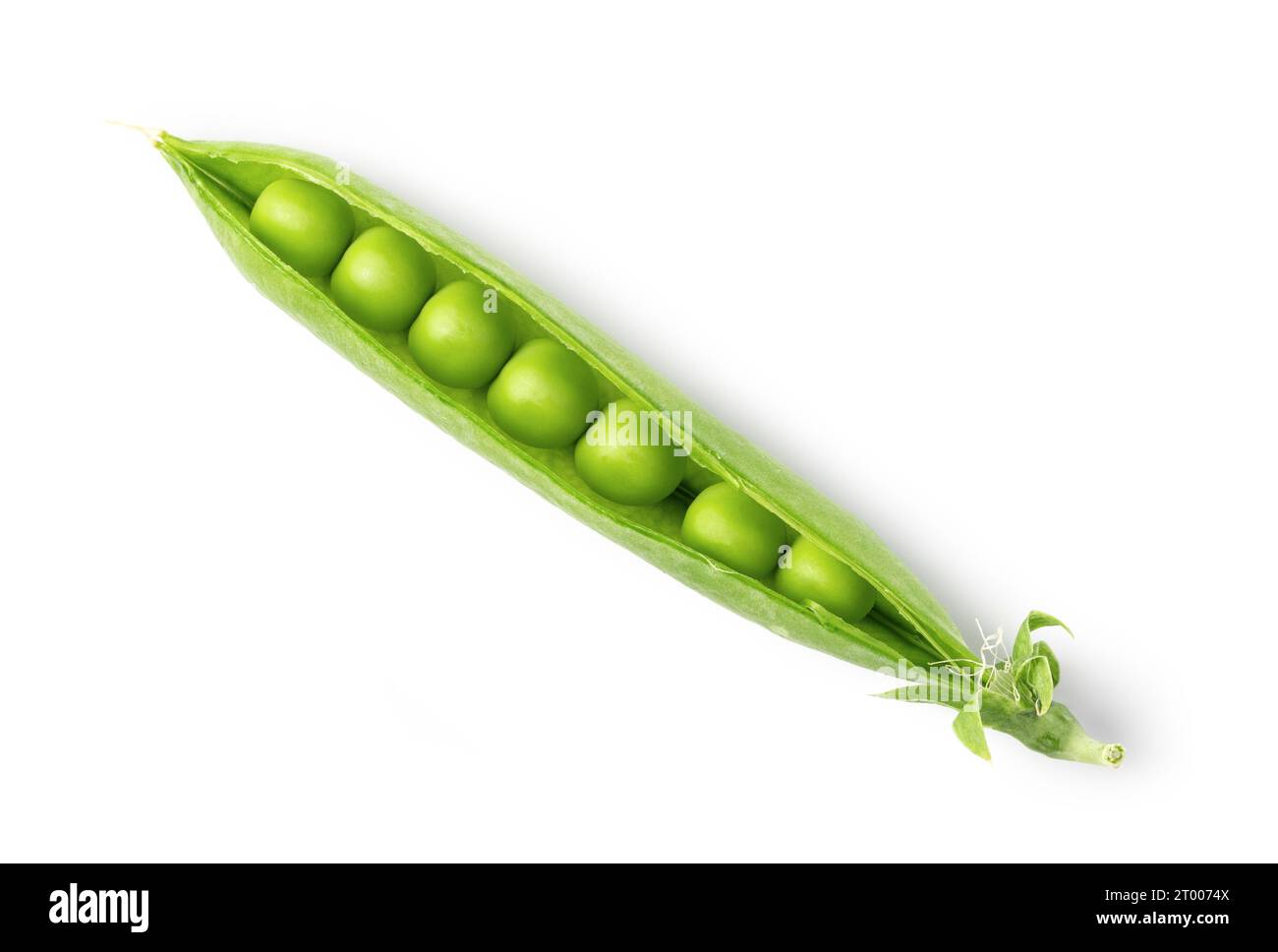 Pea bean seed hi-res stock photography and images - Alamy