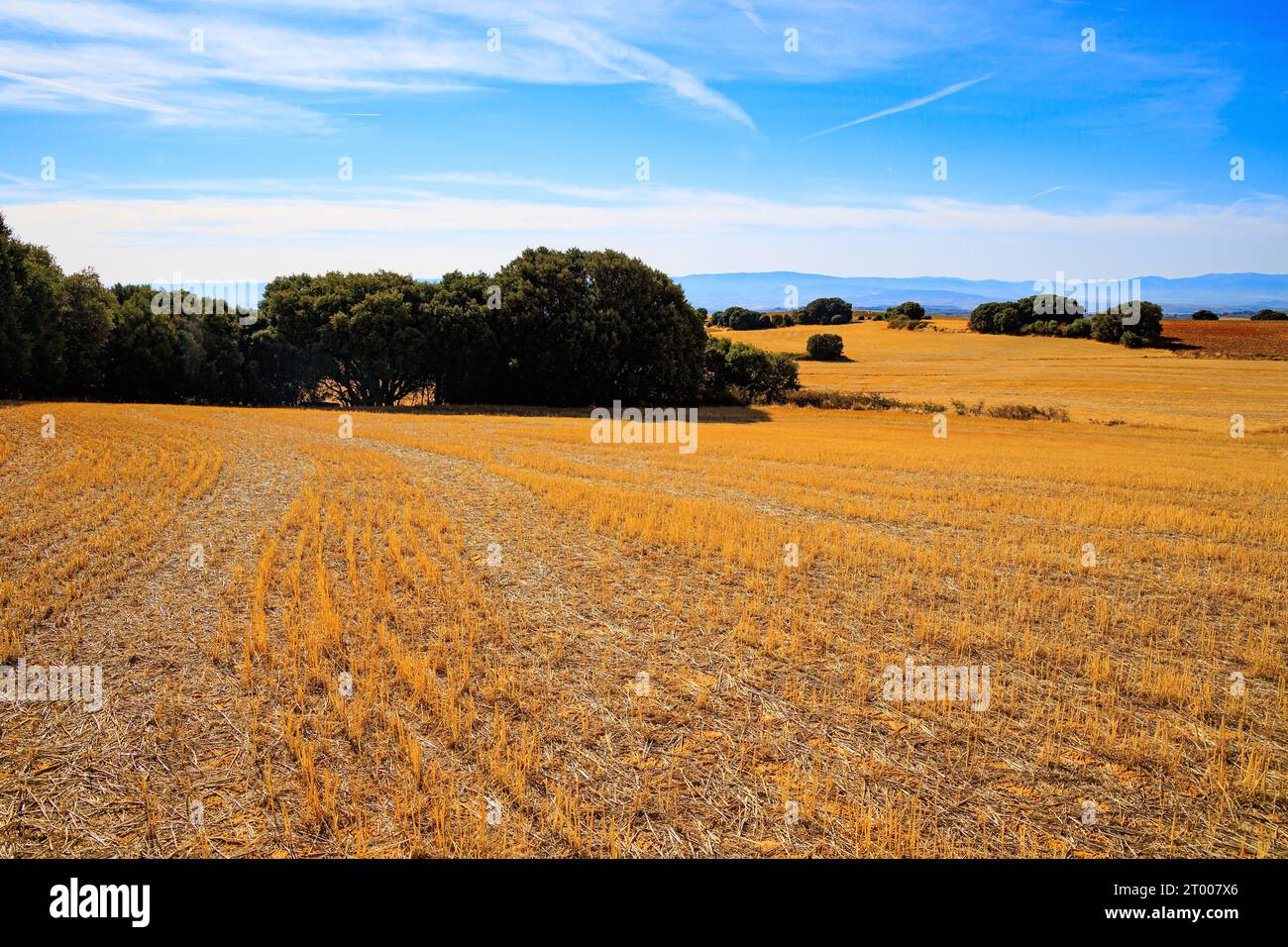 Hot colors landscape hi-res stock photography and images - Alamy