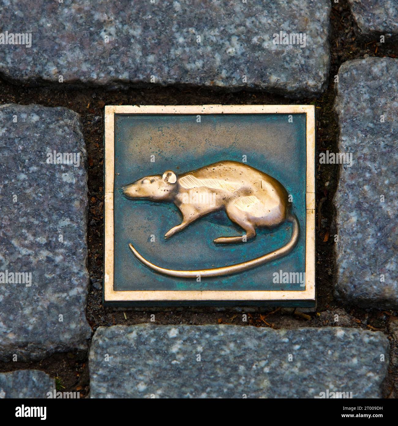 Rat stone, trail through the old town based on the legend of the ...