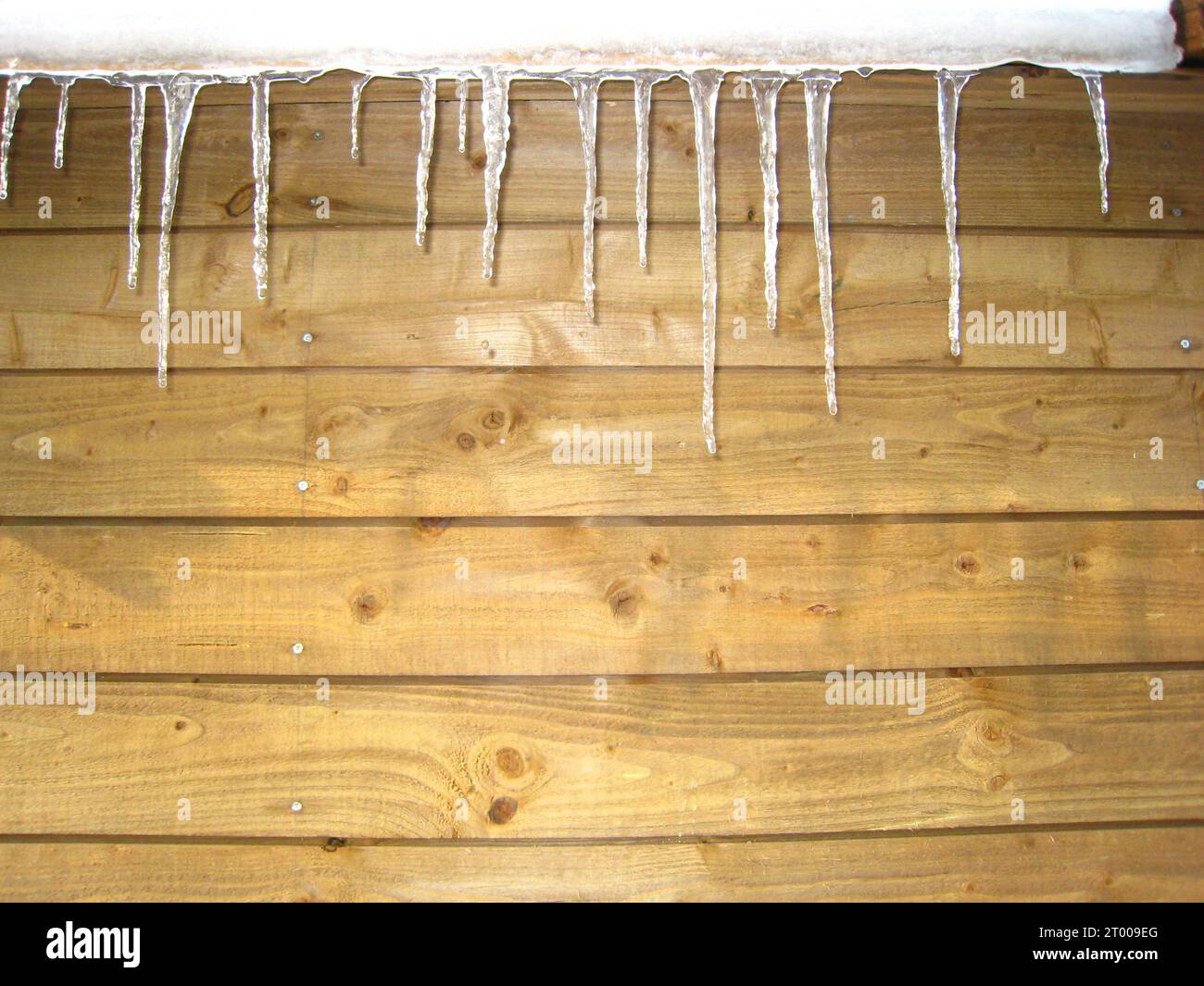 icicles in front of hut wooden wall in Switzerland in winter, icicle ...