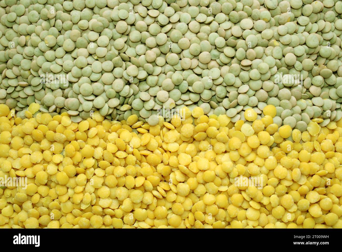 Lentil growing hi-res stock photography and images - Alamy
