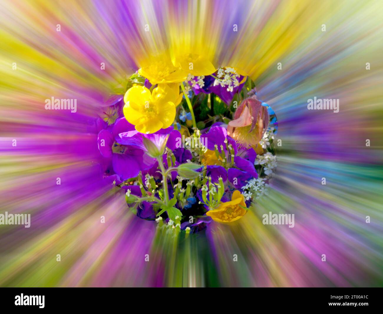 Posy of flowers hi-res stock photography and images - Alamy