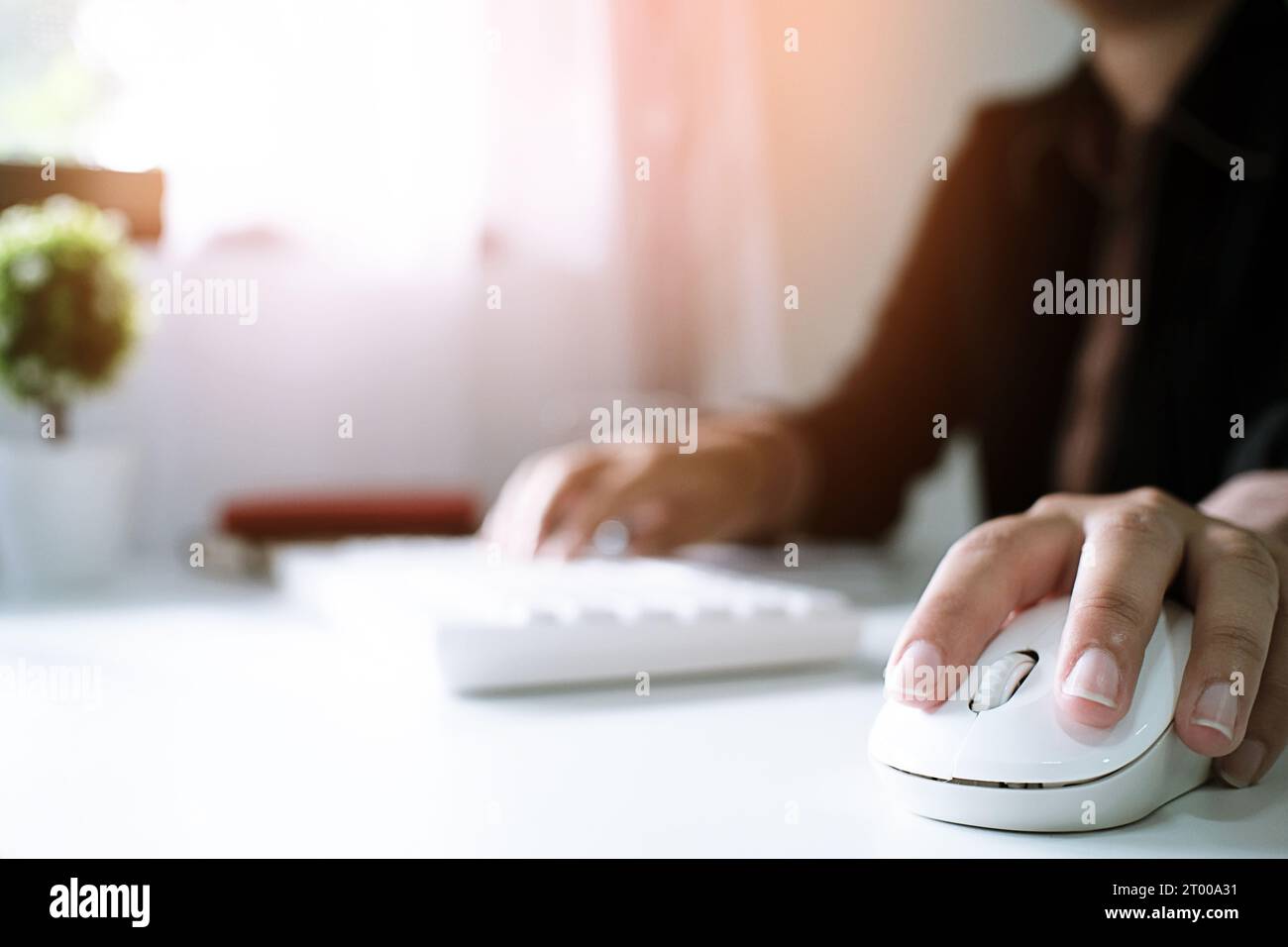 Woman typing computer hi-res stock photography and images - Alamy