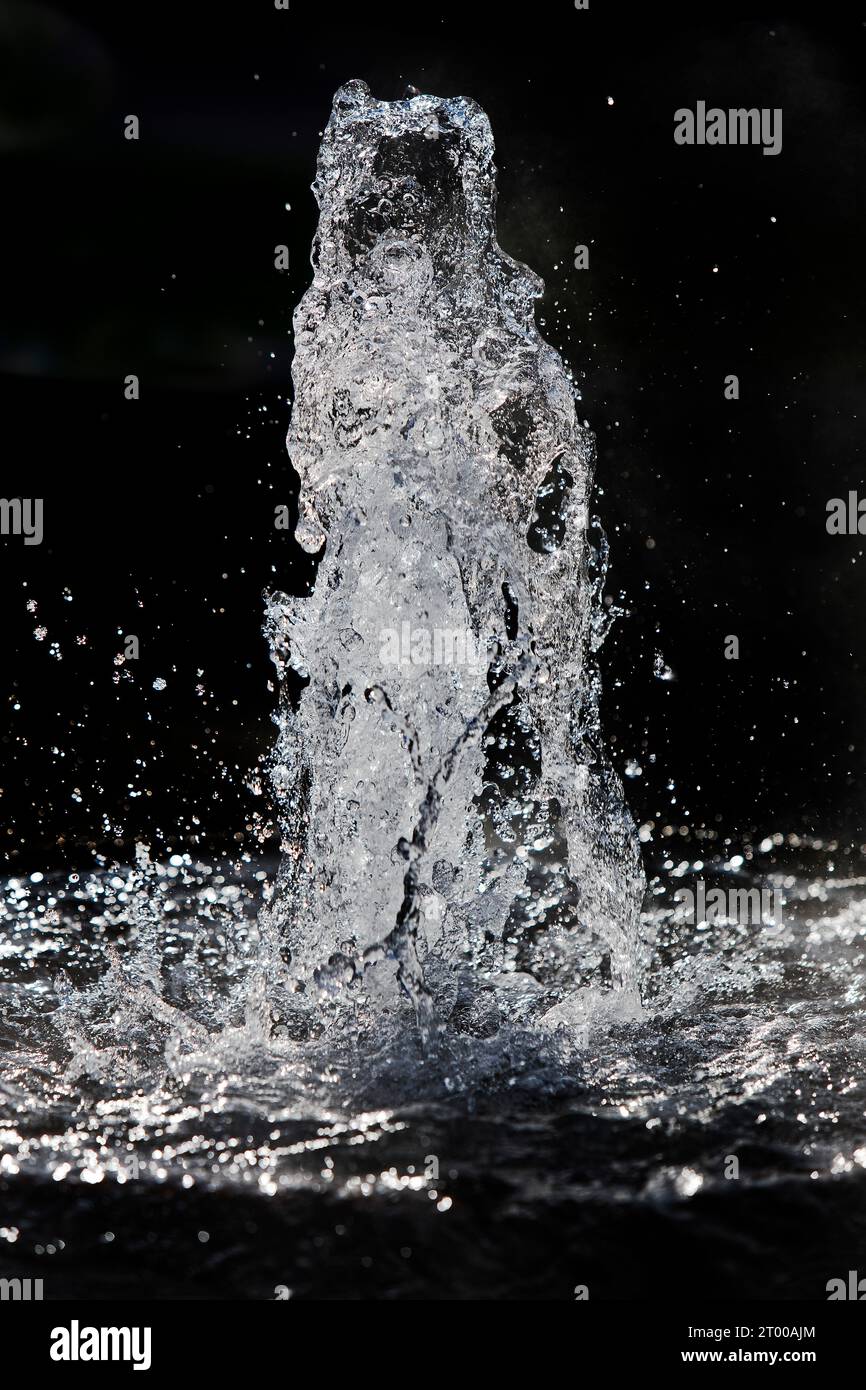 Backlit Kochbrunnen jumper, jumping hot sodium chloride thermal spring ...