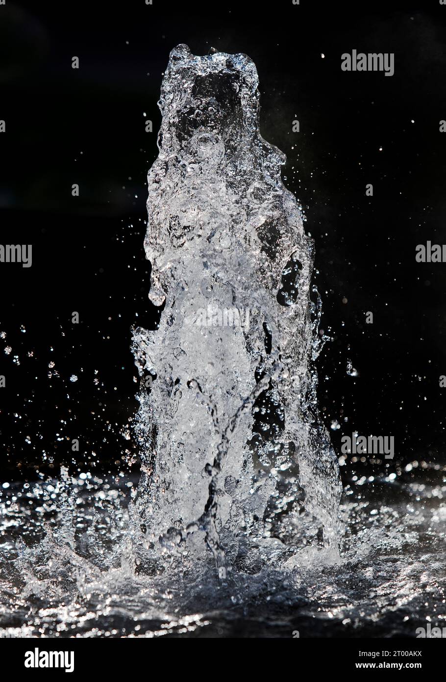 Backlit Kochbrunnen jumper, jumping hot sodium chloride thermal spring ...