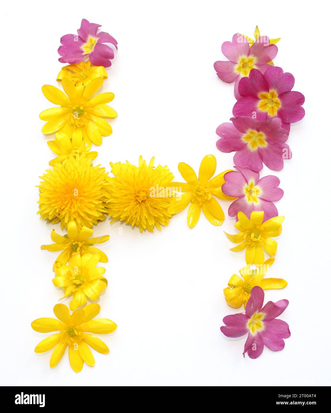 Letter h flowers Cut Out Stock Images & Pictures - Alamy