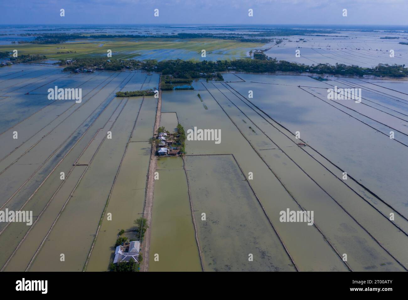 View of a desiccated floodplain at Gabura union in Shyamnagar Upajila ...